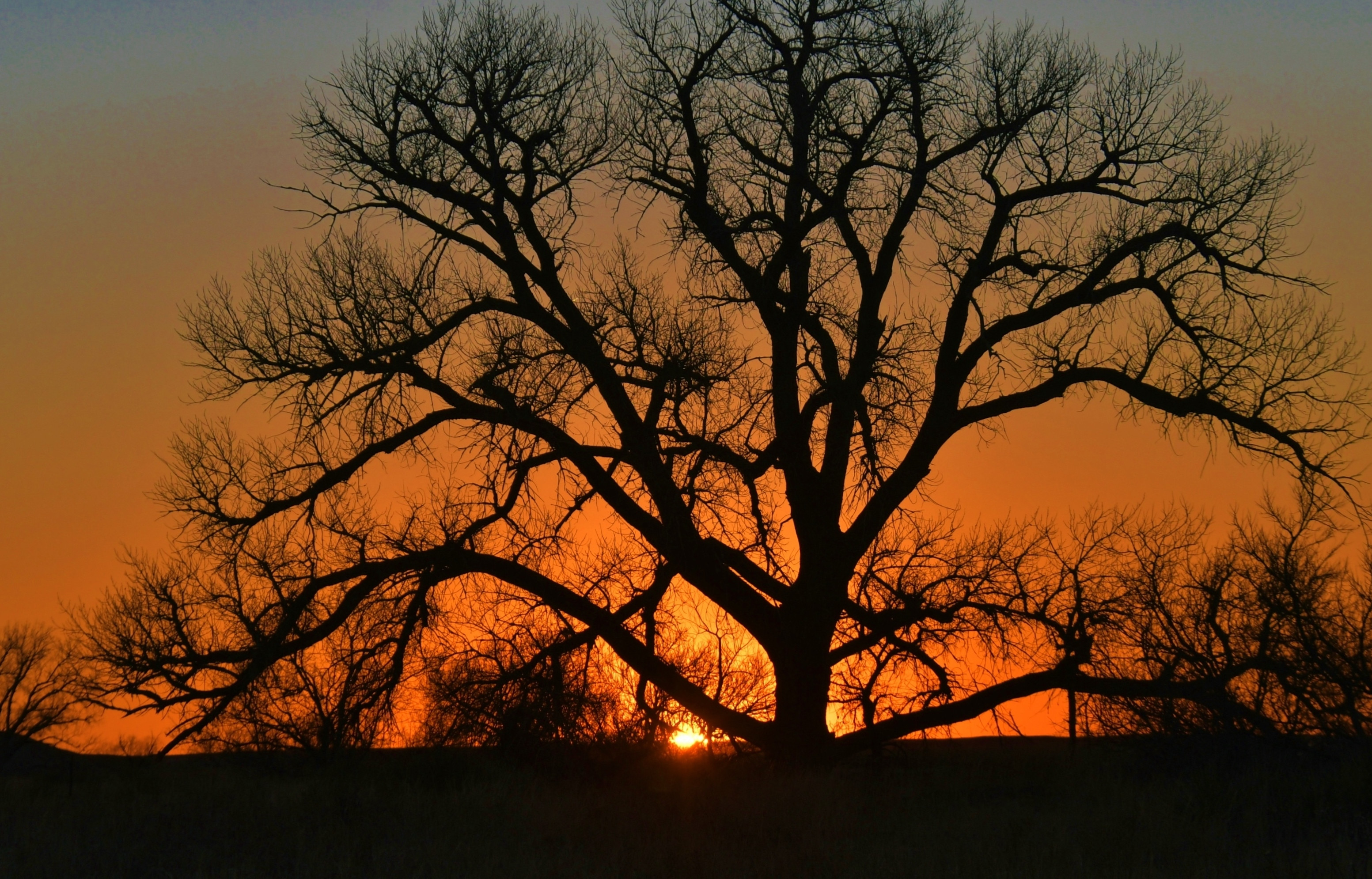 Oklahoma Today | Oklahomatoday.com - Oklahoma Today Magazine