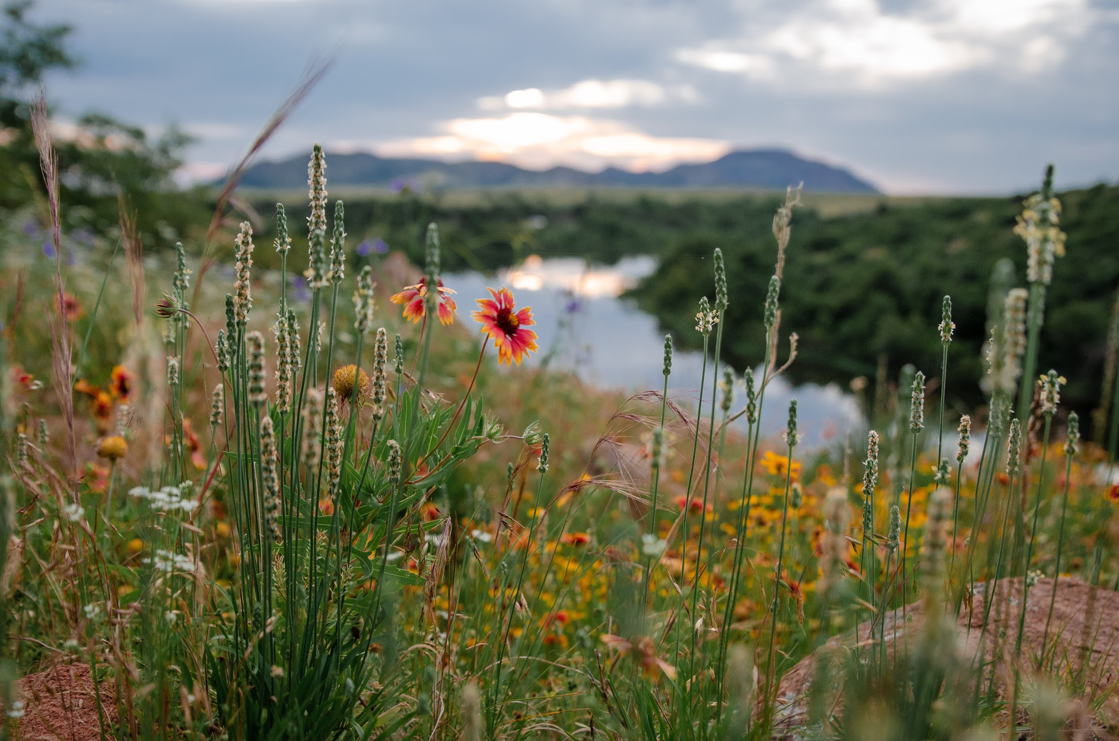 Oklahoma Today | Oklahomatoday.com - The 2024 Oklahoma Summer Bucket List